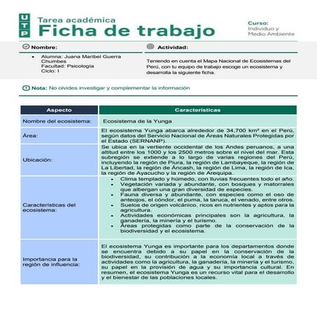 DIAPOSITIVA trabajo monografico los yungas | PPTX