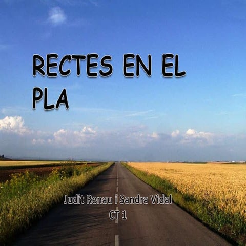 Judit renau i sandra vidal ct1 | PPT