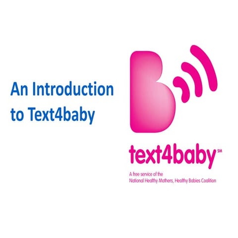 Judy meehan text4baby webinar presentation 12.9.2010