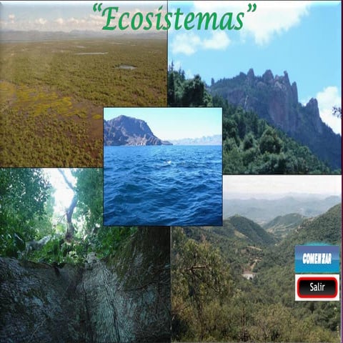 Juegos de ecosistemas | PDF