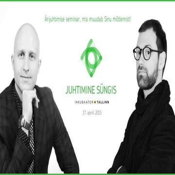 Juhtimine süngis 17.04.15