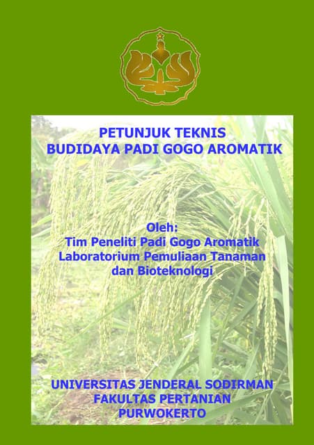 KELOMPOK 3_VARIETAS -VARIETAS PADI-2.pptx