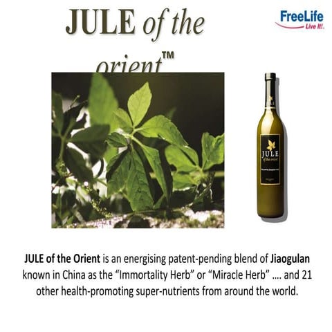 Jule Presentation | PPTX