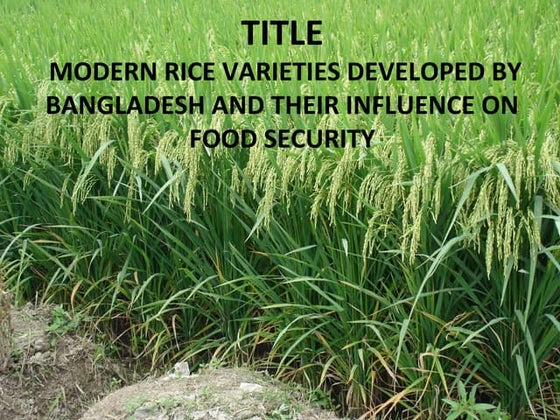 Integrated Rice-Vegetable-Fish culture | PPT