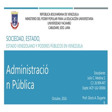 Infografias poderes publicos en Venezuela | PPTX