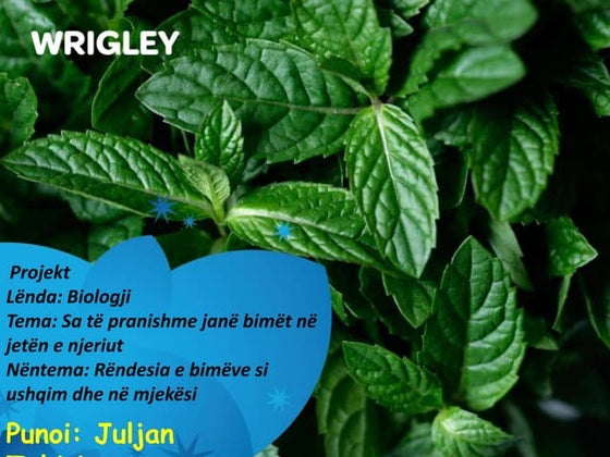 300 keshilla mjekesore per te gjitha semundjet | PDF