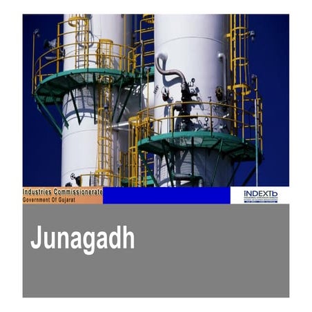 Junagadh - District Profile | PDF