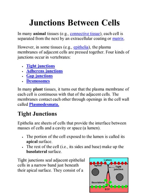 Cell junctions | PPTX