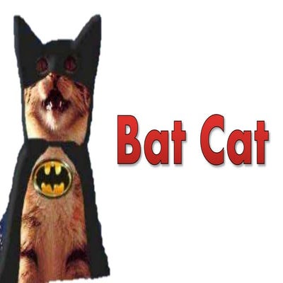 Book1 the cat on the mat | PDF