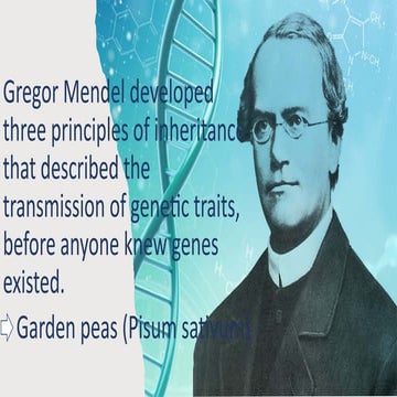 gregor mendel's principles of inheritance | PPTX | Genetics | Science