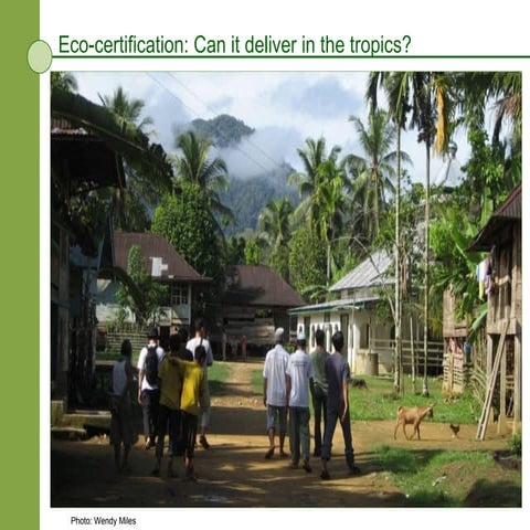 Mica Bennett - Eco-certification: Can it deliver in the tropics? - Aug ...