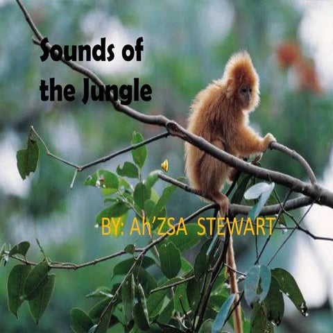 my safari in the paradise | PPT