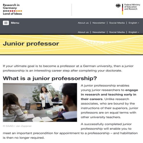 Junior professor research in germany | PDF