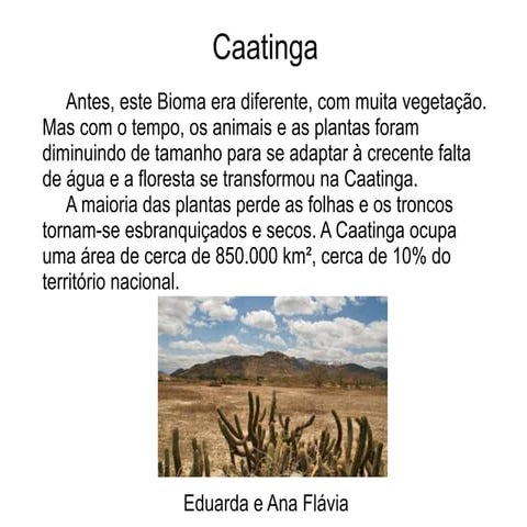 Projeto Biomas | PPT