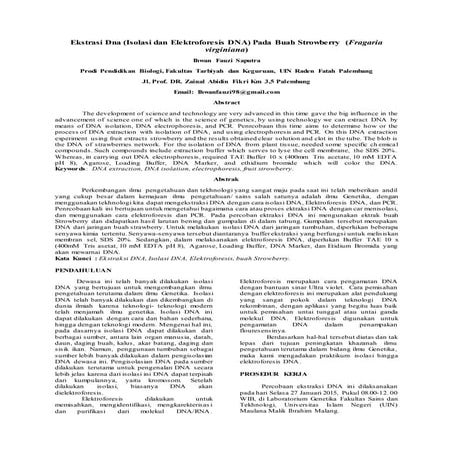 Tahapan Ekstraksi dan Purifikasi DNA, pengukuran kualitas DNA | PPTX