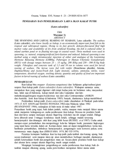 Teknik Pemijahan Ikan hias Komet PPT Oke | PPTX