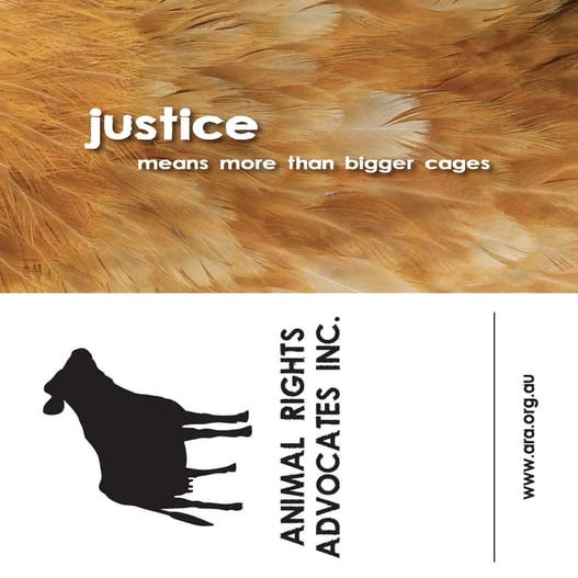 Justice Card | PDF
