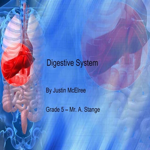 Justin digestive system power point presentation for mr. stange | PPT