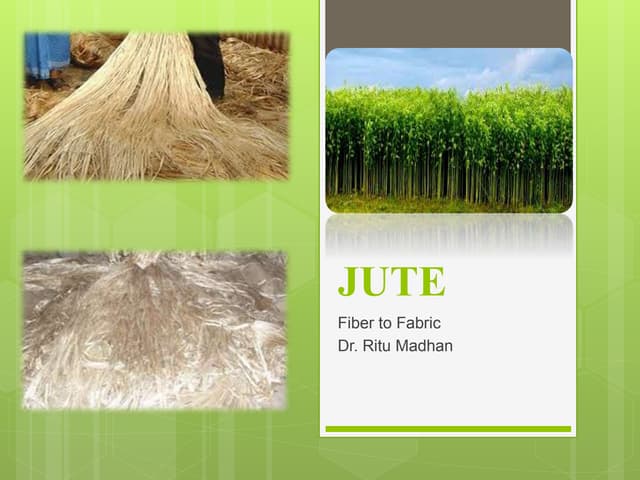 RETTING PROCESS IN JUTE | PPTX