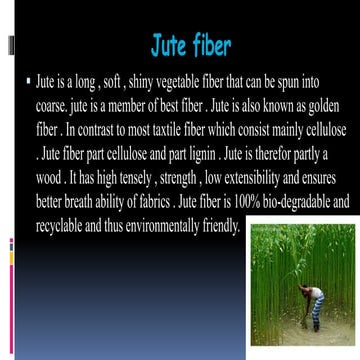 RETTING PROCESS IN JUTE | PPTX