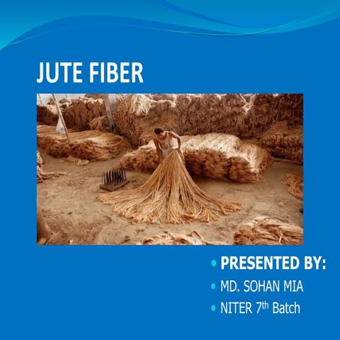 RETTING PROCESS IN JUTE | PPTX