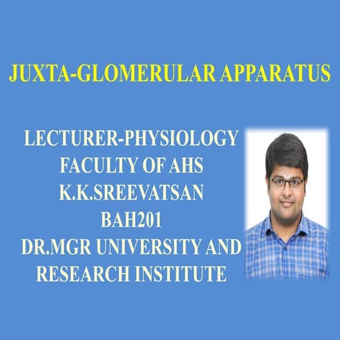 JUXTA-GLOMERULAR APARRATUS ycfyhdrgg .pptx