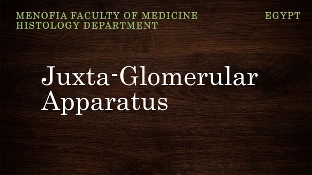 JUXTAGLOMERULAR APPARATUS physiology.pptx