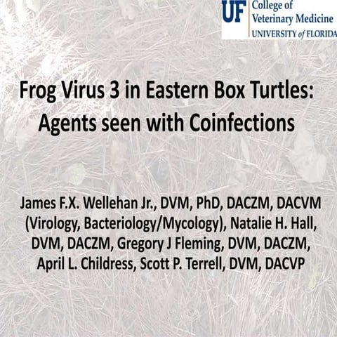 AN OUTLINE ON HERPESVIRAL DISEASES IN MARINE TURTLES | PPTX