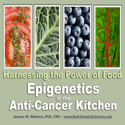 Harnessing the Power of Food: Epigenetics in the Anti-Cancer Kitchen | PDF