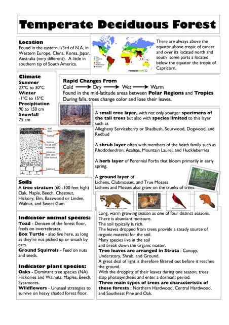 Douglas fir | PPT | Woodworking | Arts and Crafts