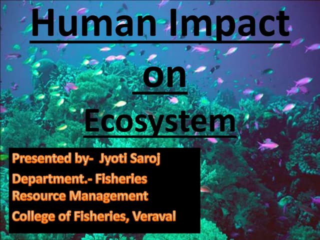 Human impact on environment | PPT