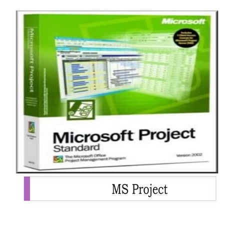Ms project | PPTX