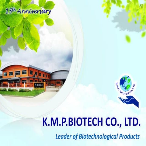 K.m.p profile 2015 | PDF