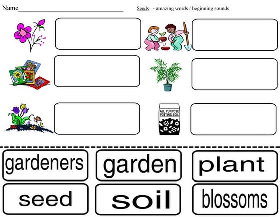Reading- Unit 2- Animal Babies in Grasslands Missing P | PDF