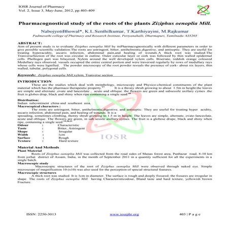 10-morphology and microscopy of Fennel .pptx