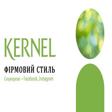 k24_039_project_KERNEL_Ukraine_corpmedia_2024 | PDF