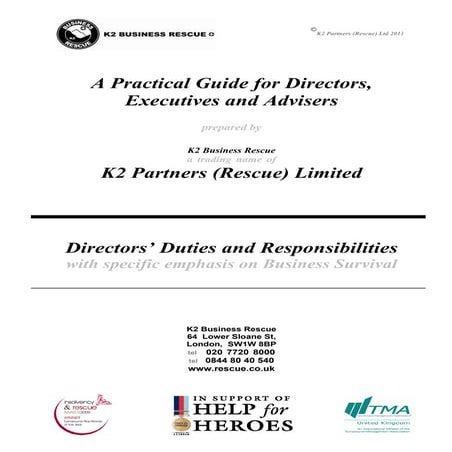 K2 Guide to Director Duties and Responsibilities #901 | PDF