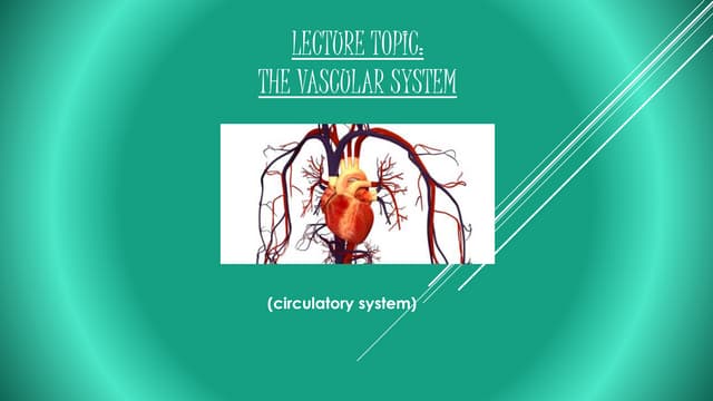 Arterial system, Venous drainage, lymphatics system- Flow Chart- | DOCX