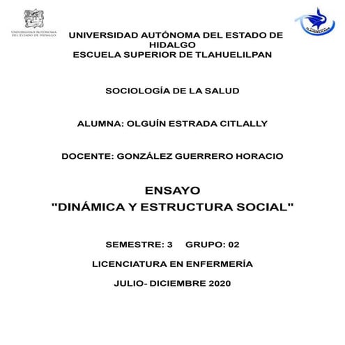 Dinámica y estructura social Ensayo | PDF