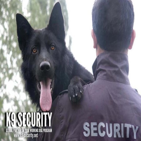 K9 Training by K9 Trainer Goktan Eker | PDF