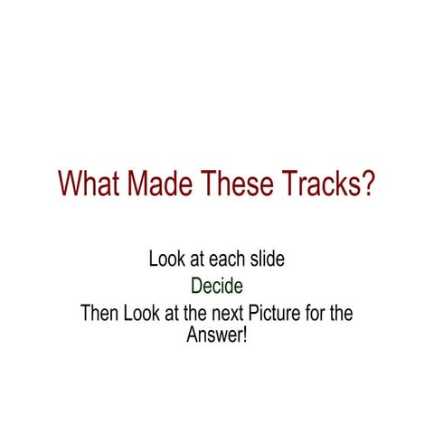 Tracks in the Snow | PPT