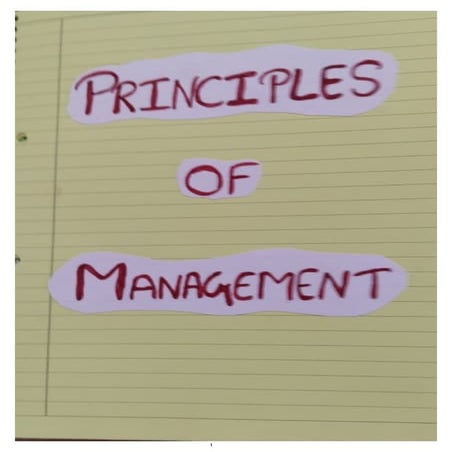 ECONOMICS PROJECT CLASS 12.pdf