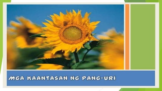 Mga Pananda Sa Mapa | PPTX