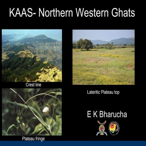 KAAS.ppt