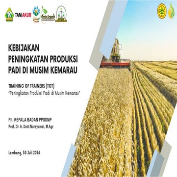 Ka Badan_Kebjakan Peningkatan Produksi Padi di Musim Kemarau.pdf