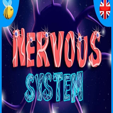 Nervous System PPT 6 pages | PPTX
