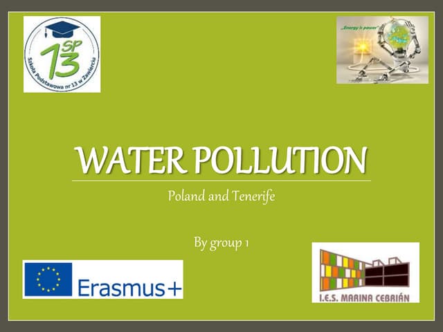 Environmental pollution Group 6 | PPTX