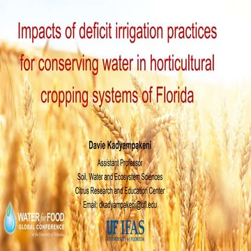 Impacts of deficit irrigation practices for conserving water in ...
