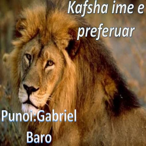 Kafsha ime e preferuar | PPSX