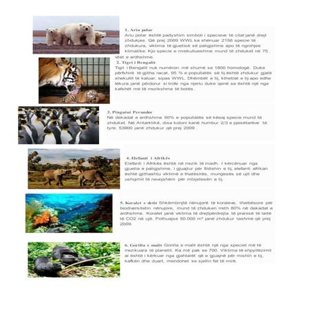 Kafshet ne rrezik zhdukje | DOCX